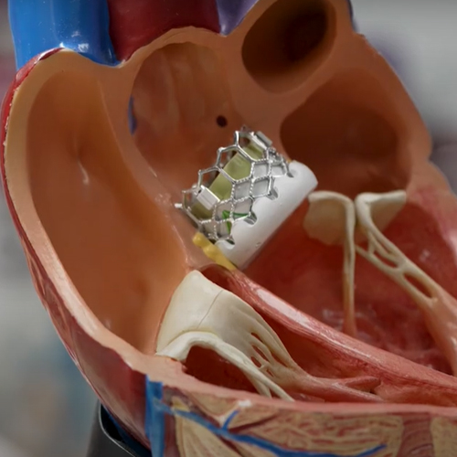 Covenant HealthCare | Extraordinary Care for Every Generation ...